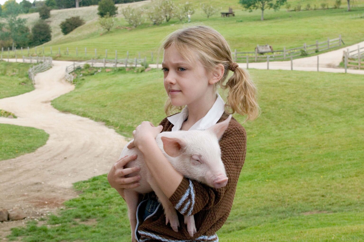 La tela di Carlotta - Cinemainclasse